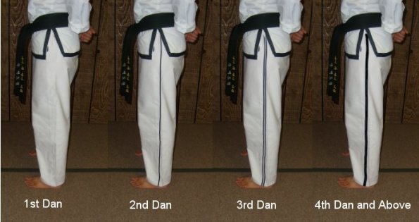 International TaeKwon-Do Assocication Uniform by Grand Master James S ...